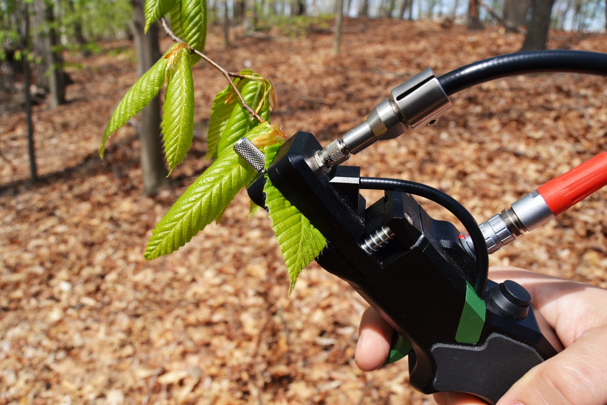 Leaf Clip - Spectral Evolution